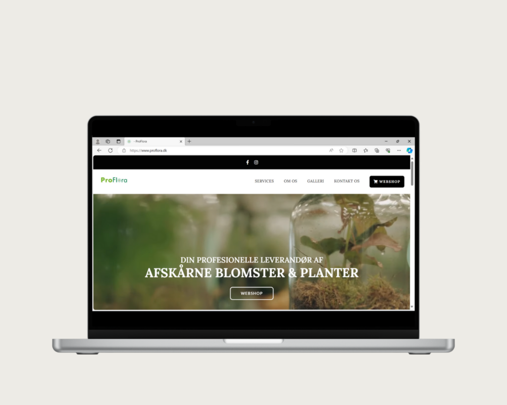 Selskabsoversigt – Plantas Group